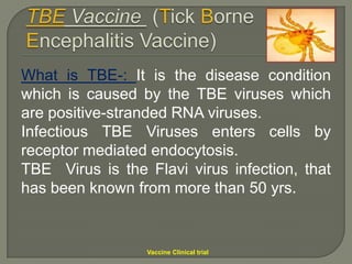 Vaccine clinical trial | PPTX