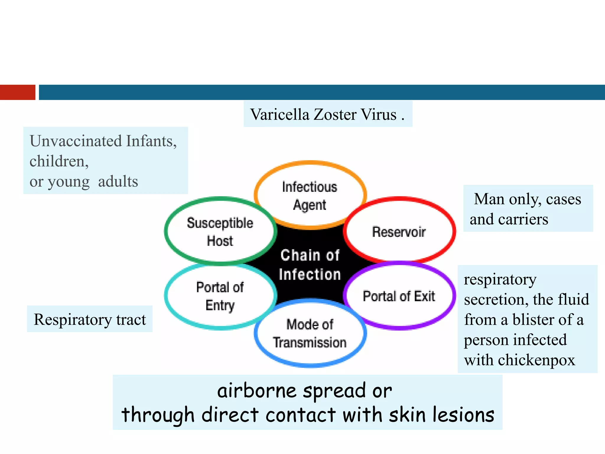 Vaccine preventable diseases | PDF