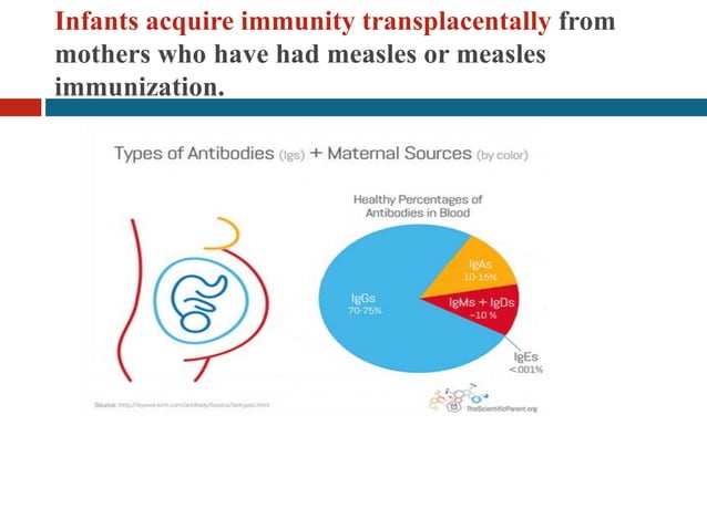 Vaccine preventable diseases | PDF