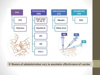 Vaccines | PPTX | Infectious Diseases | Diseases and Conditions
