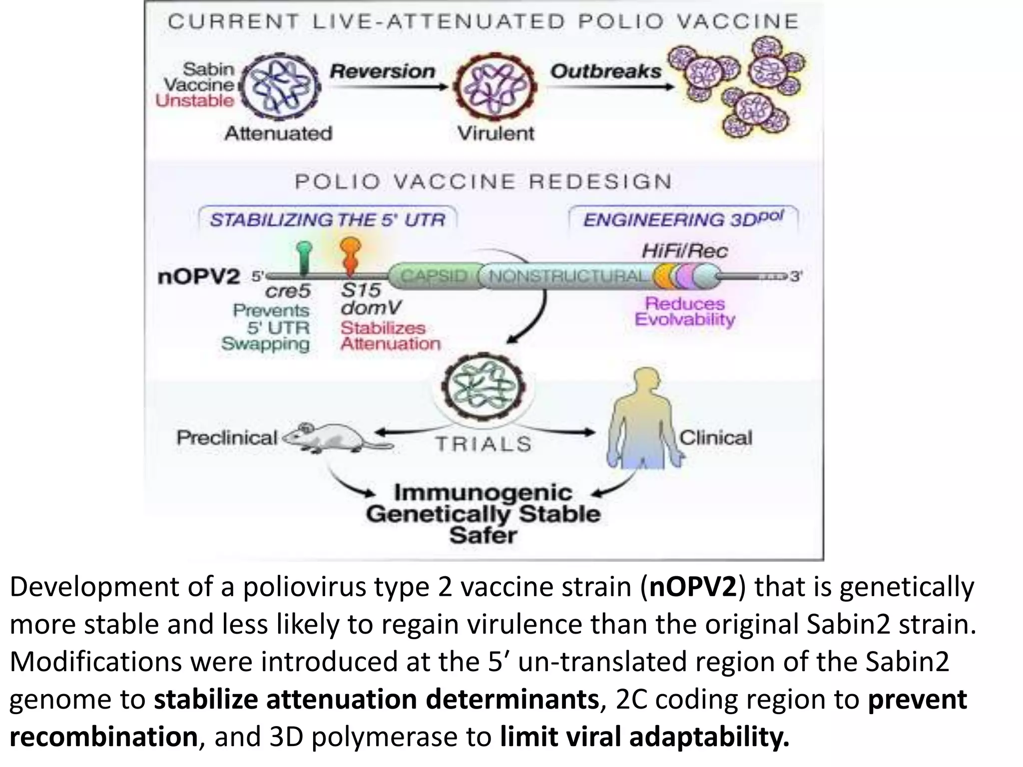Vaccines and Type of Vaccines | PPTX