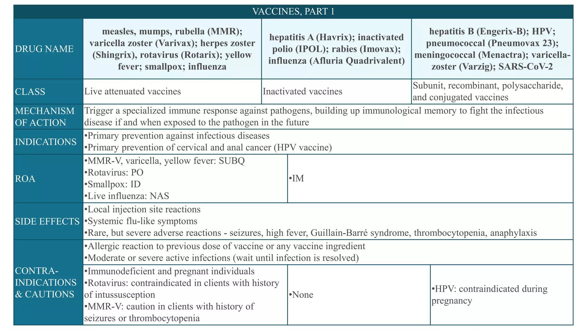 Vaccines | PDF | Infectious Diseases | Diseases and Conditions