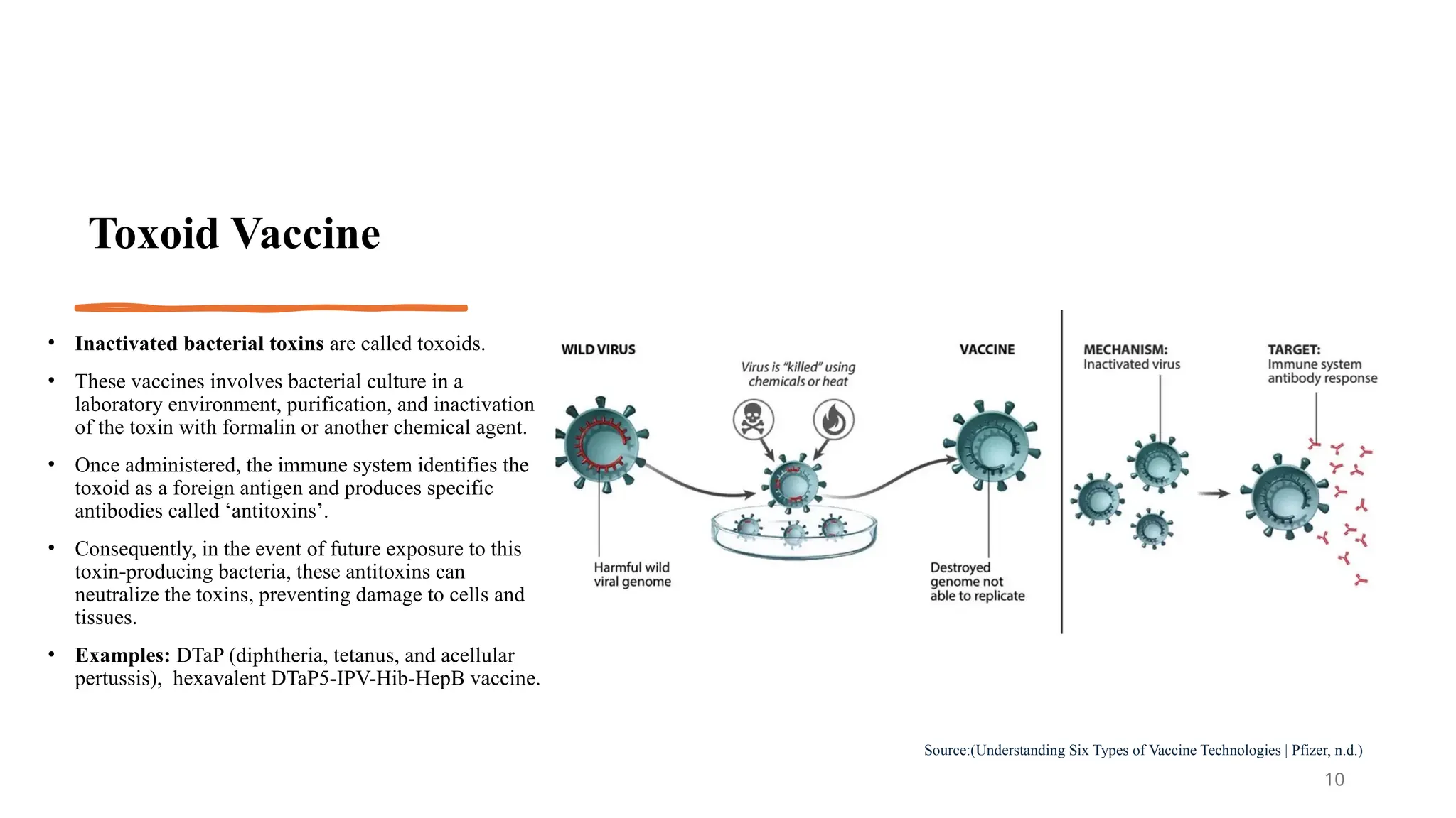 Introduction to Vaccines and it's classification | PPTX