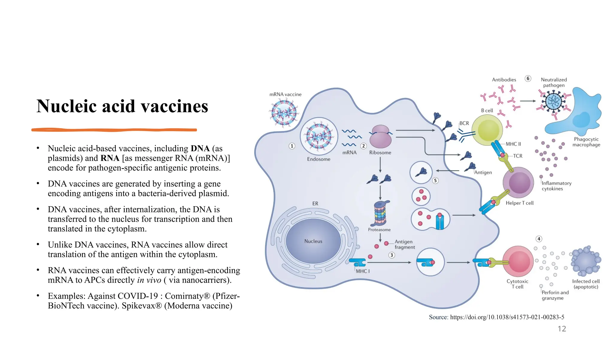Introduction to Vaccines and it's classification | PPTX