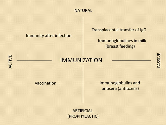 Vaccines and sera | PPTX | Allergies | Diseases and Conditions