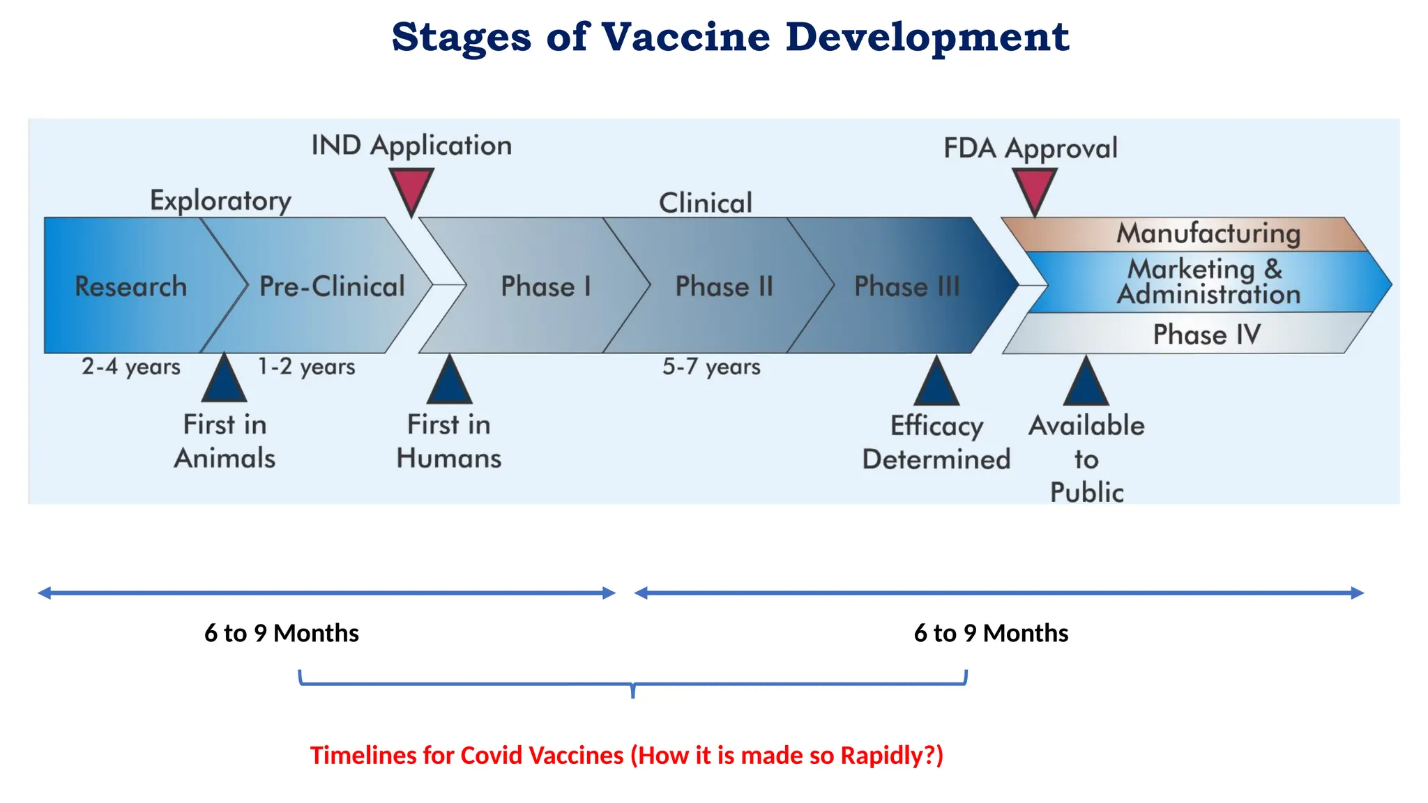 Vaccines Bioprocess Development ppt.pptx | Free Download