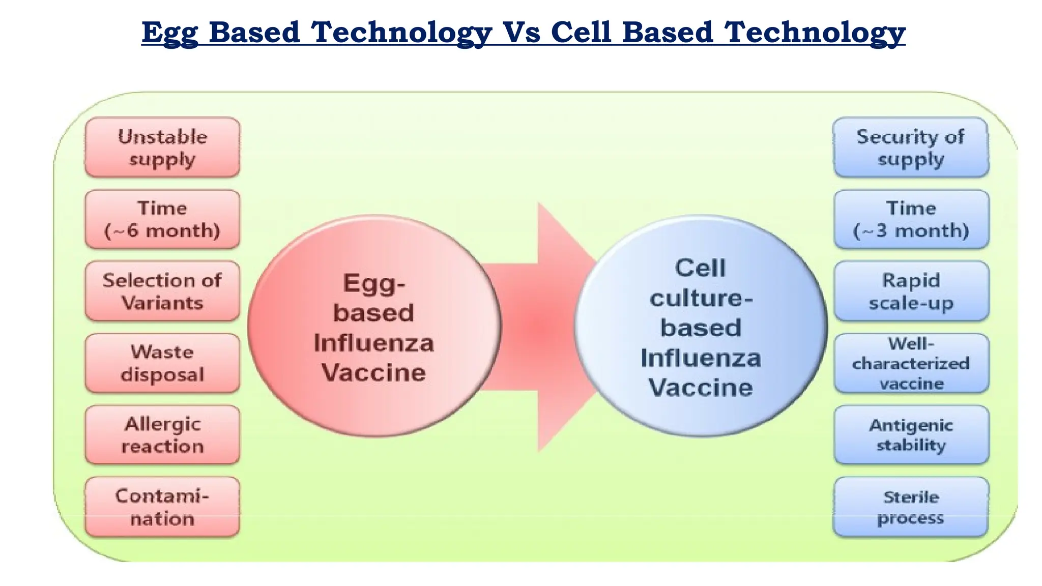Vaccines Bioprocess Development ppt.pptx