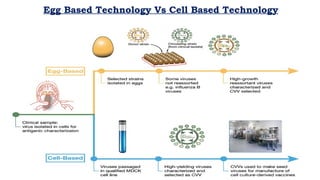Vaccines Bioprocess Development ppt.pptx | Free Download