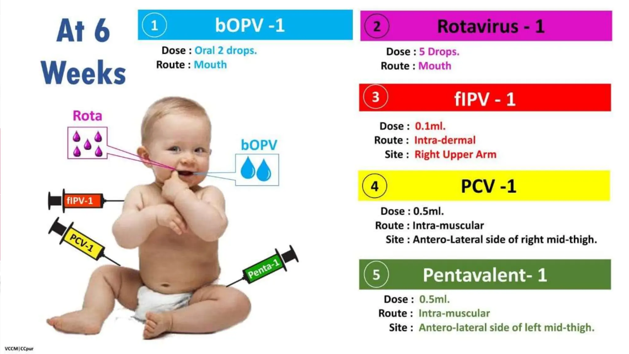 Vaccine site and Route in immunization PPT | PPTX