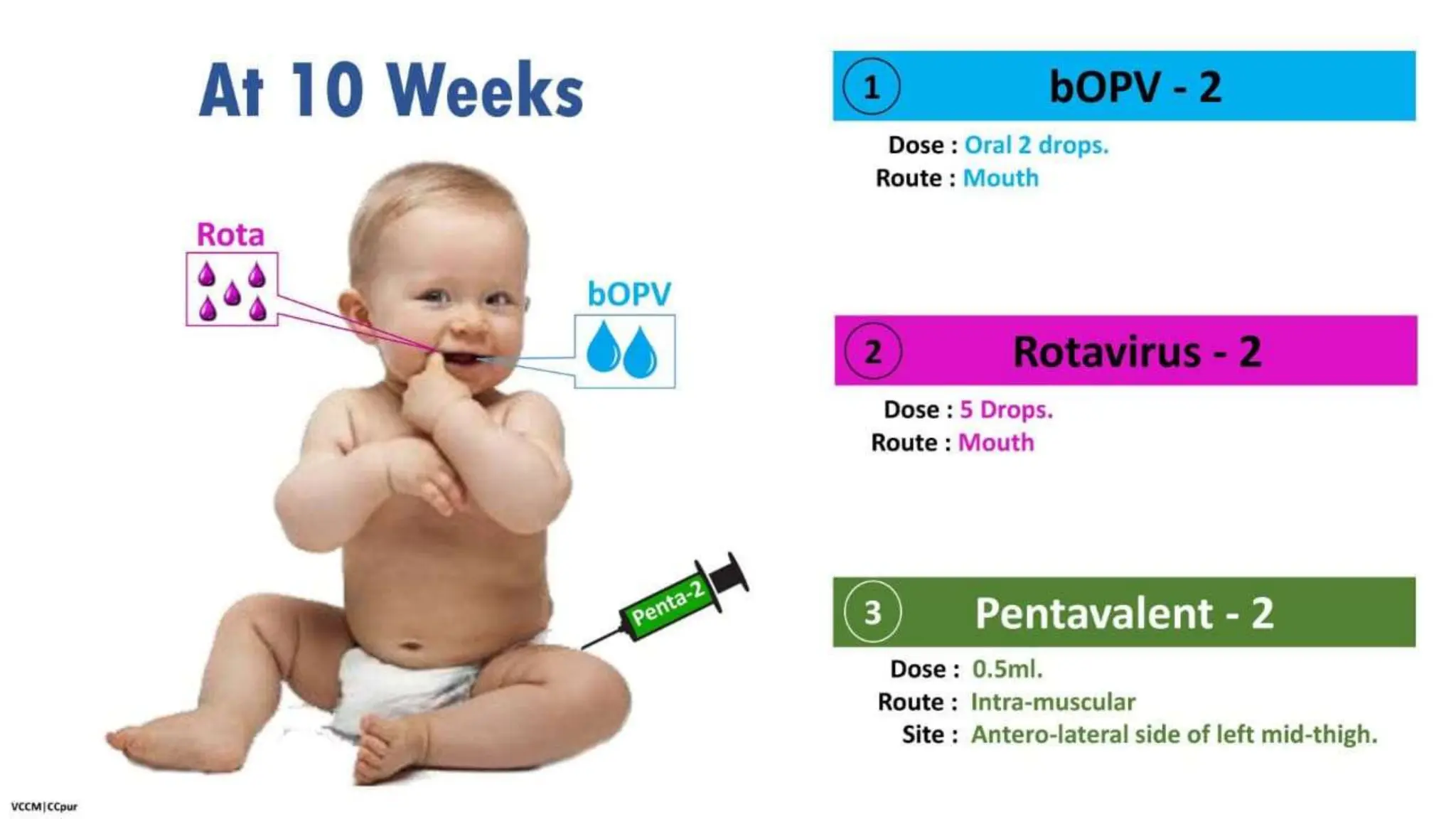 Vaccine site and Route in immunization PPT | PPTX