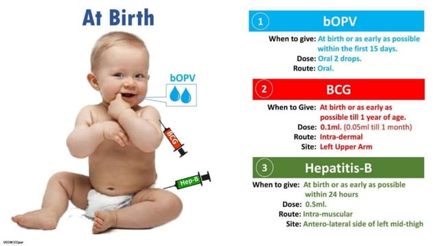 Vaccine site and Route in immunization PPT | PPT