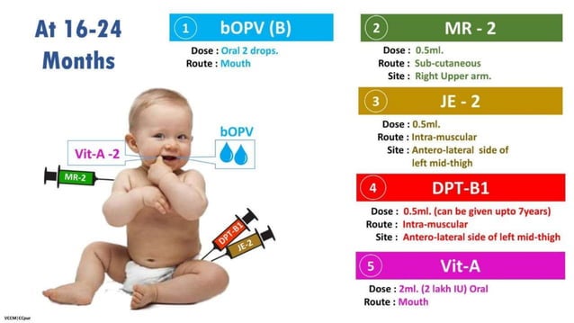 Vaccine site and Route in immunization PPT | PPT