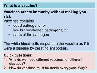 Understanding Vaccines: Immunity, Safety, and Disease Prevention | PPTX
