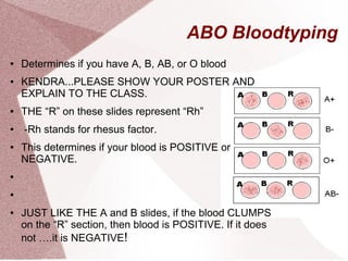 Vaccutainers intermediate | PPT