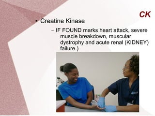 Vaccutainers intermediate | PPT