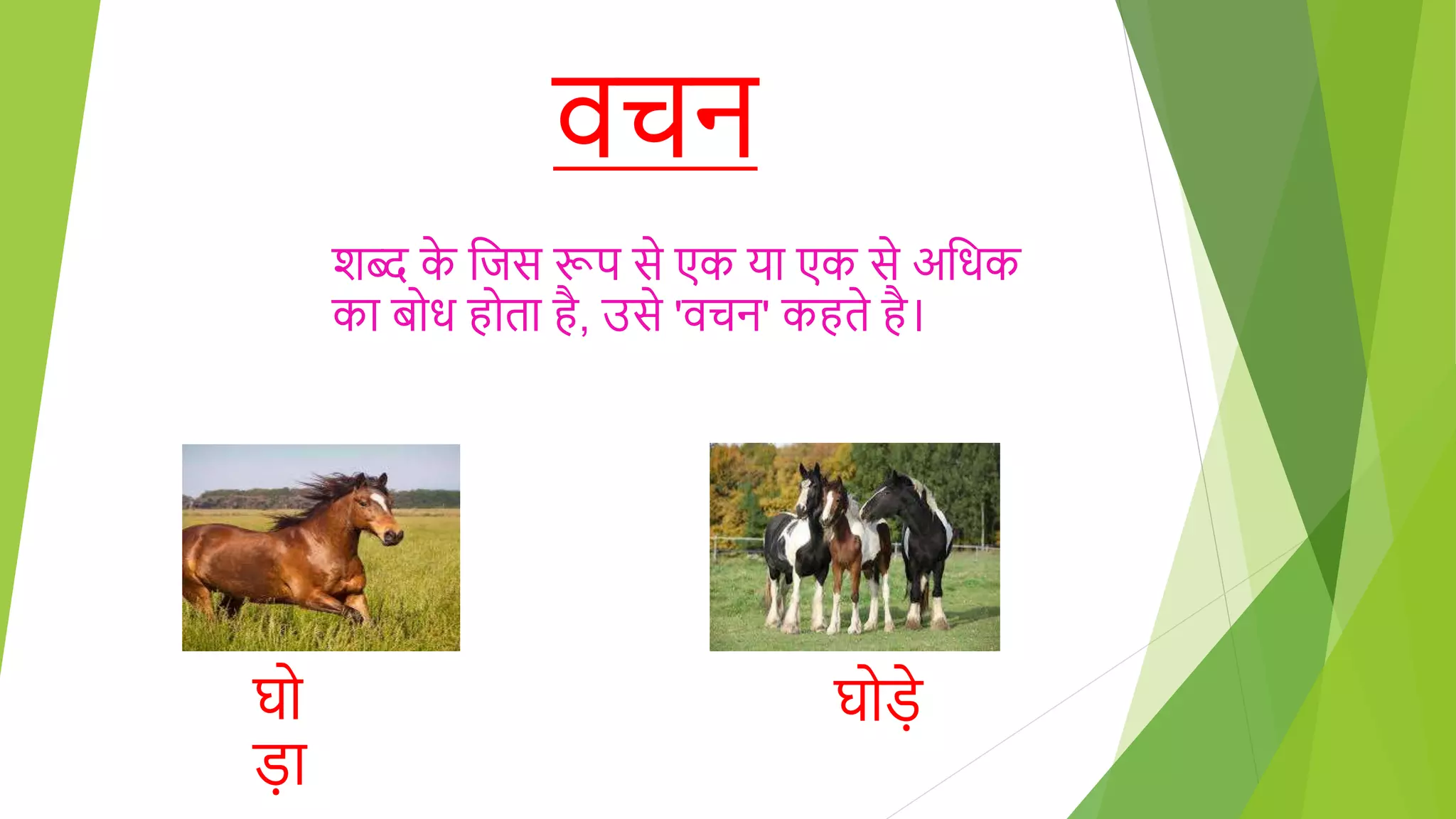 Vachan - PPT (1).pptx