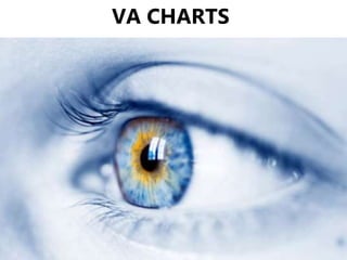 VA charts.pptx