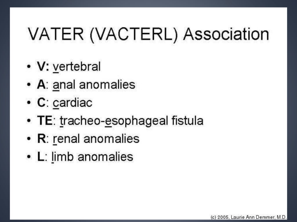 Vacterl association: embryology and recognition