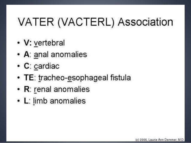 Vacterl association: embryology and recognition
