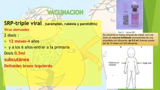 Esquema de vacunación en México | PPTX