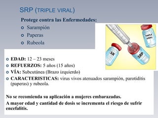 Vacunas Paraguay - ESQUEMA DE VACUNACIÓN (PAI) - Fernanda Rafalski ...
