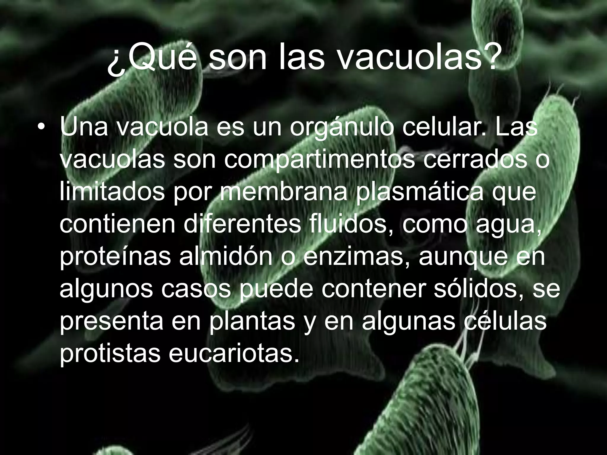 Vacuolas | PPTX