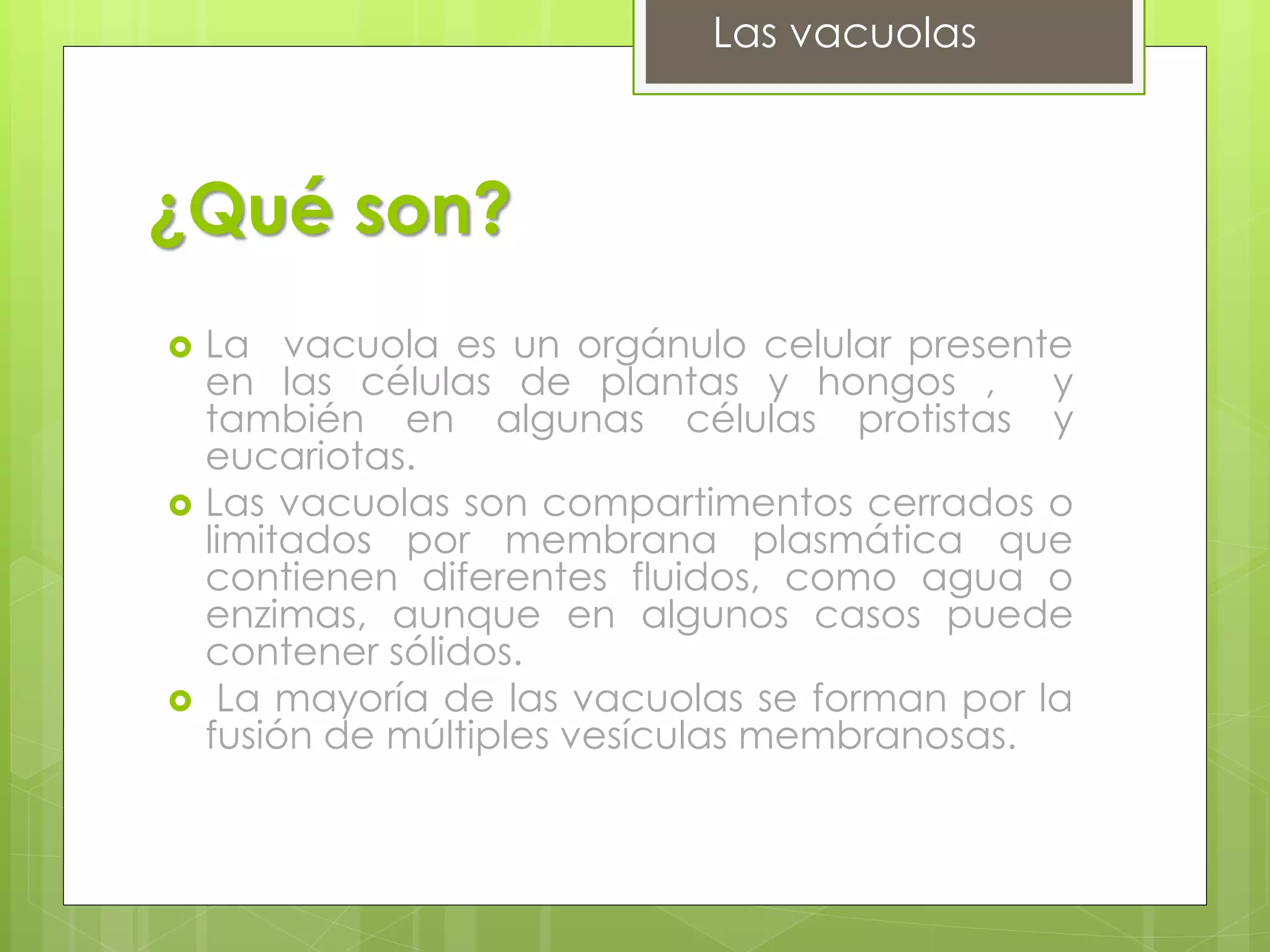 Vacuolas y-lisosomas | PPT