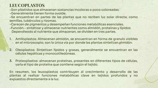 TIPOS DE VACUOLAS Y PLASTOS ASI COMO SUS EJEMPLOS.pptx