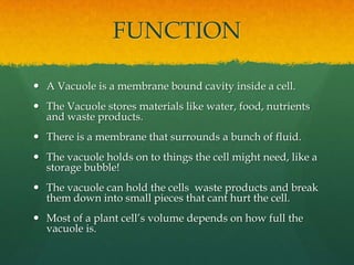 Vacuole | PPTX