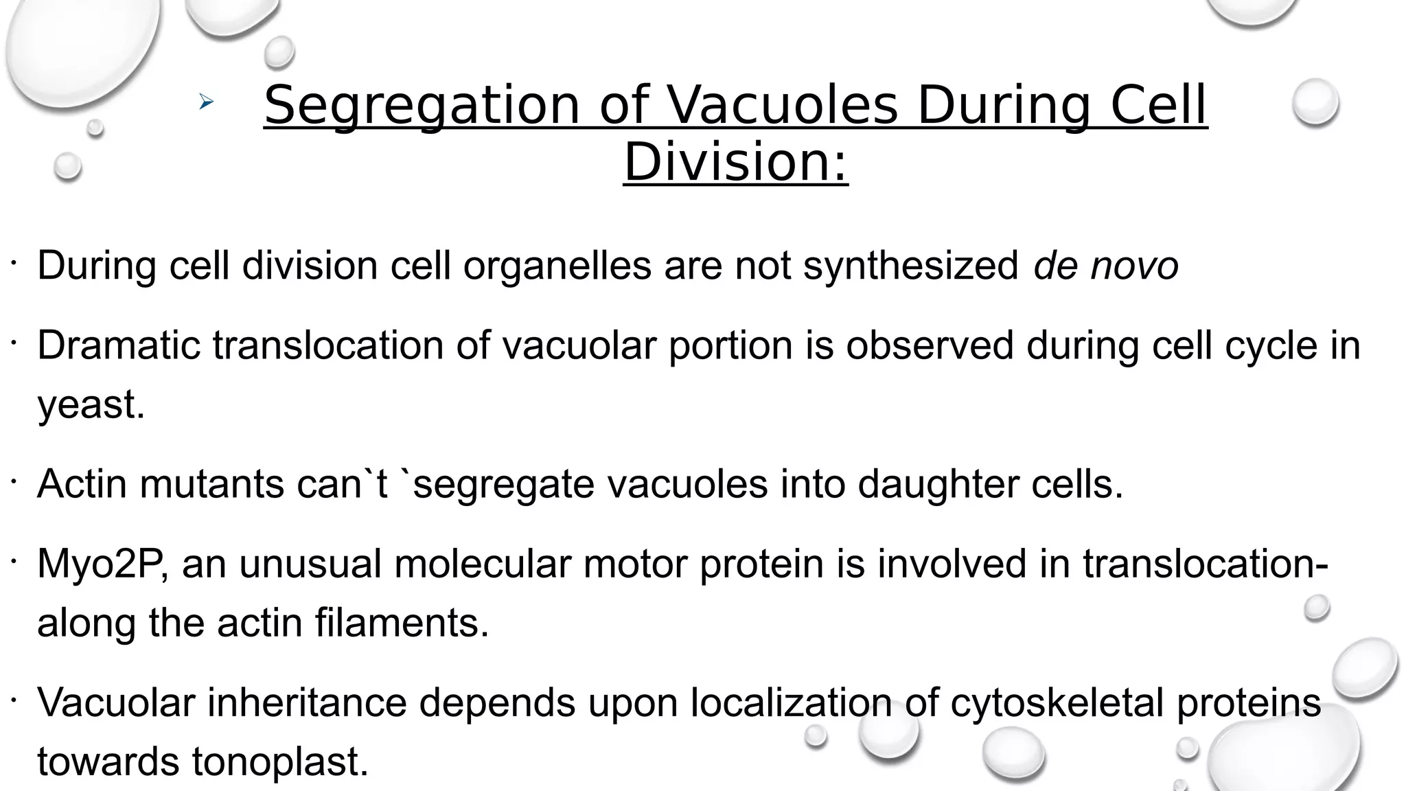 Vacuole | PDF