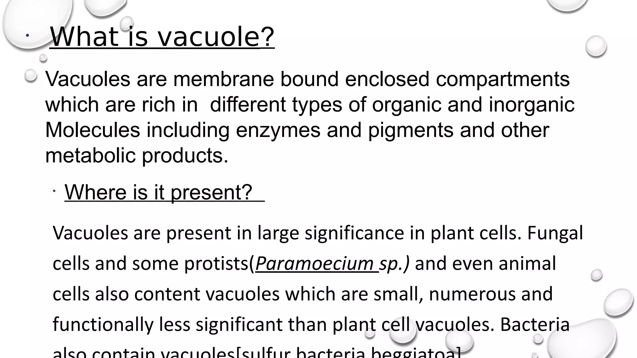 Vacuole | PDF