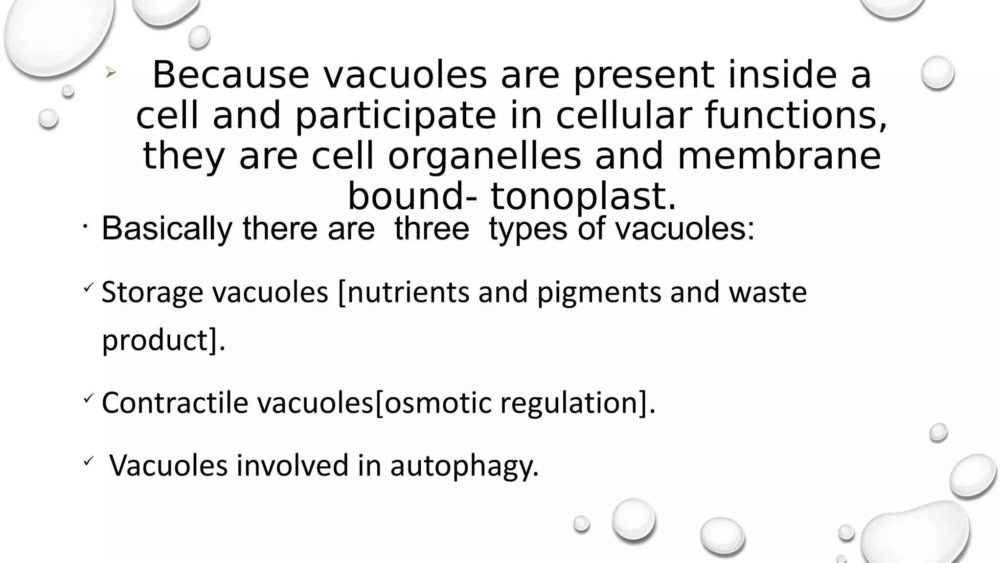 Vacuole | PDF