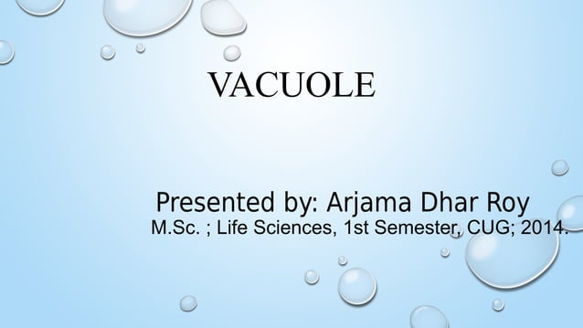 Vacuole | PDF
