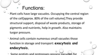 Vacuole | PPT | Free Download