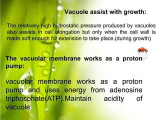 Vacuole ppt | PPTX