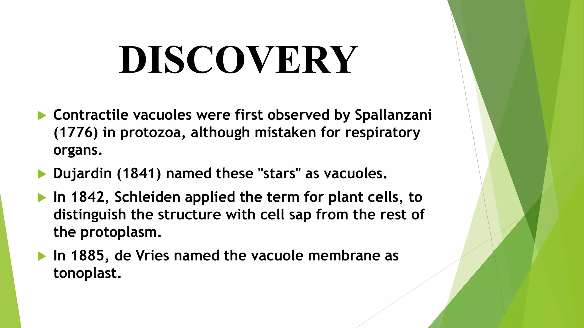 Vacuoles | PPTX