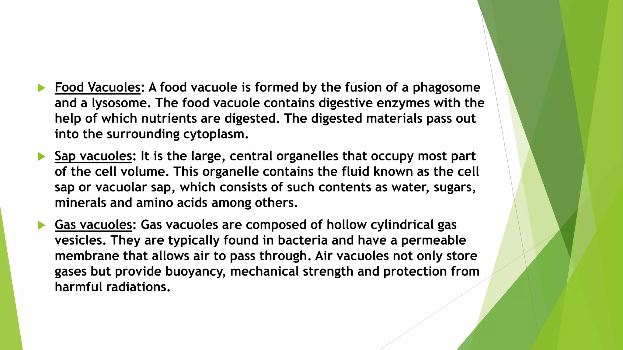 Vacuoles | PPTX