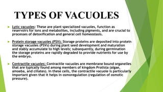 Vacuoles | PPTX