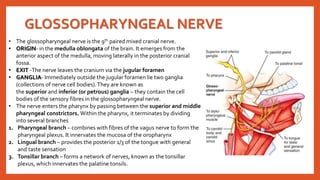 Vagal system | PPTX