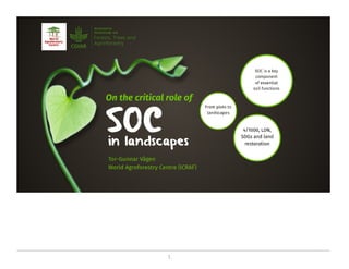 On the critical role of soil organic carbon in landscapes | PPT