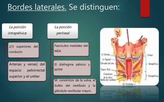 VAGINA APARATO REPRODUCTOR FEMENINO | PPTX