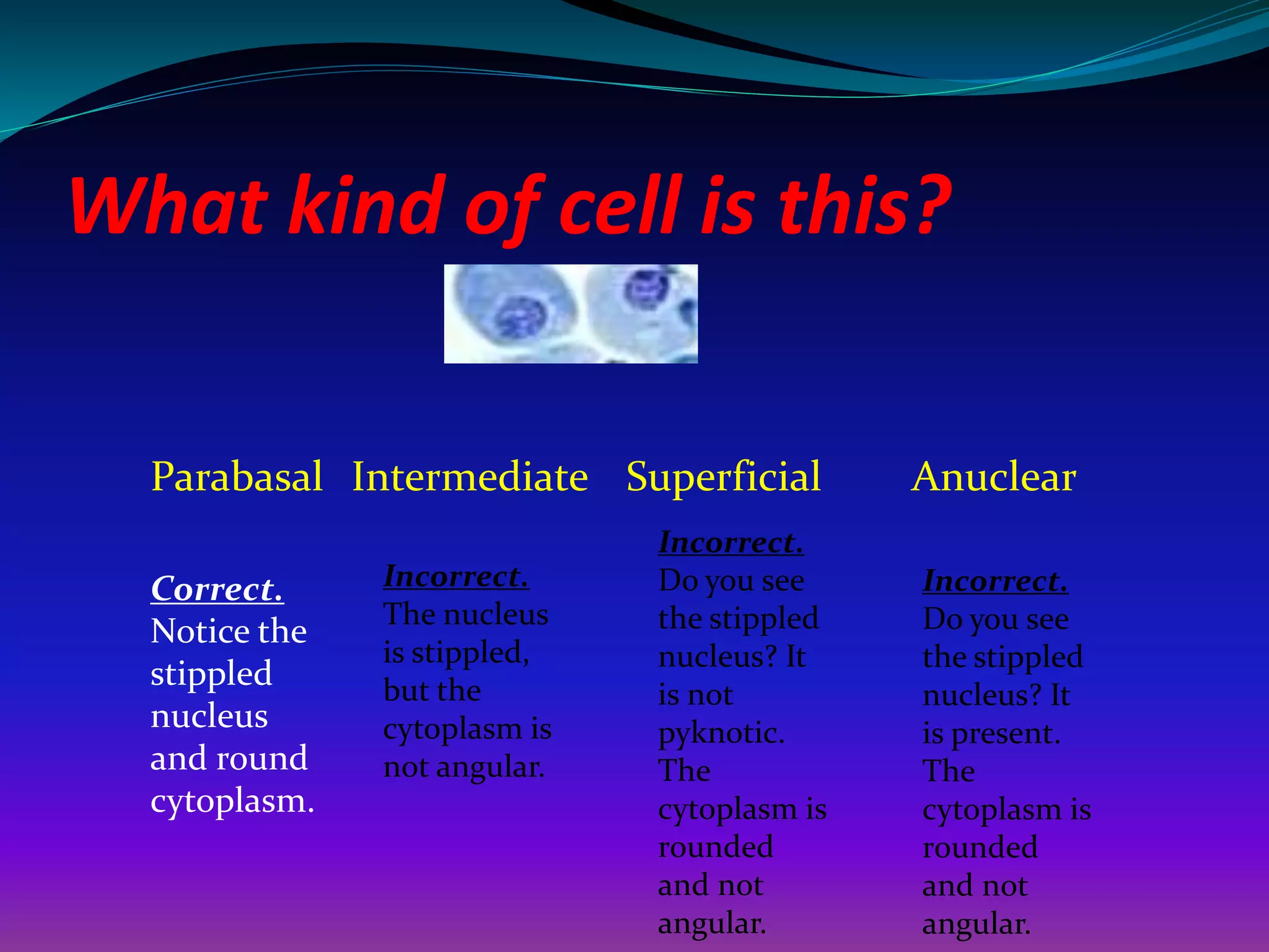 Canine vaginal_cytology_final.pptx