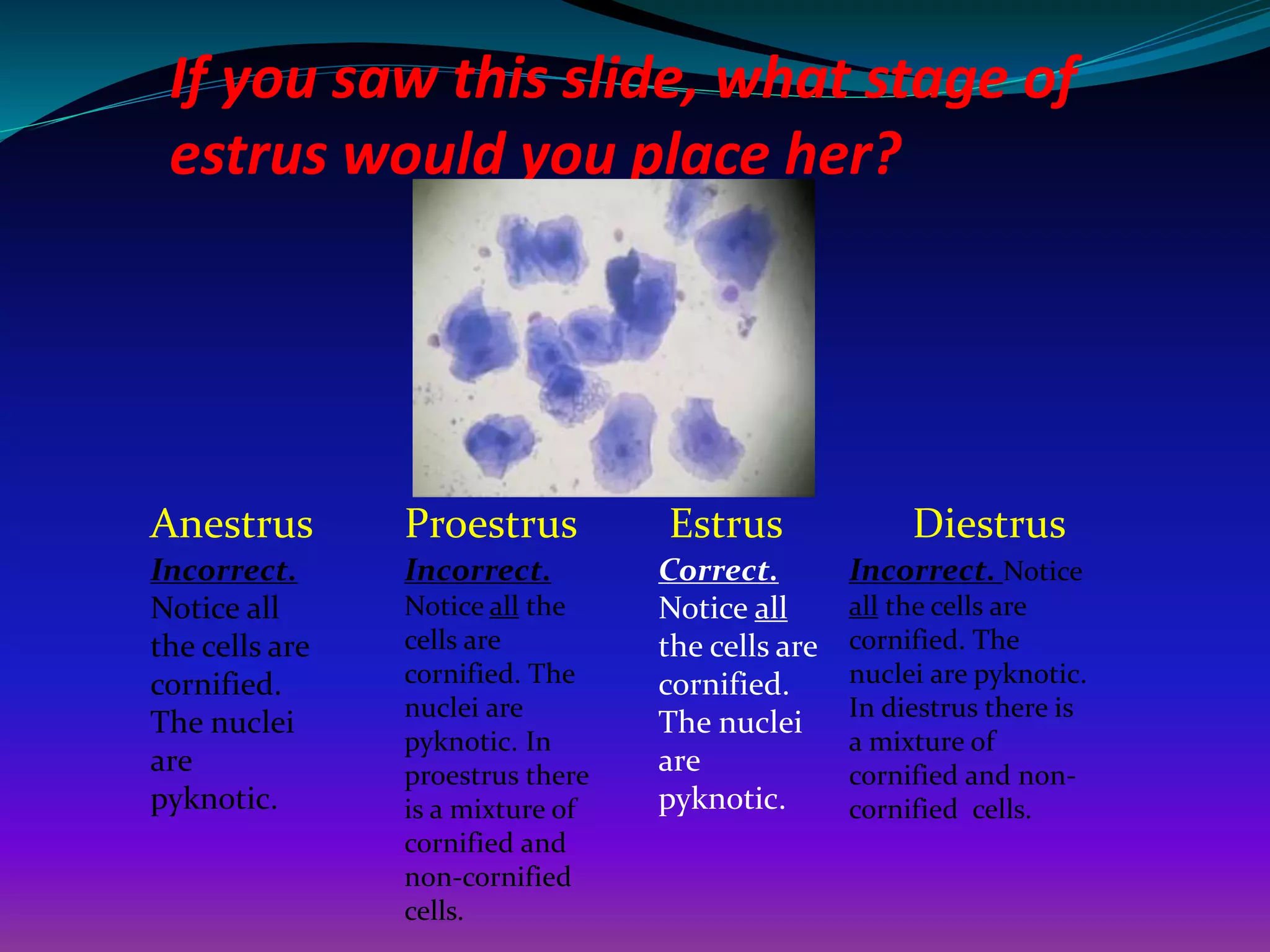 Canine vaginal_cytology_final.pptx