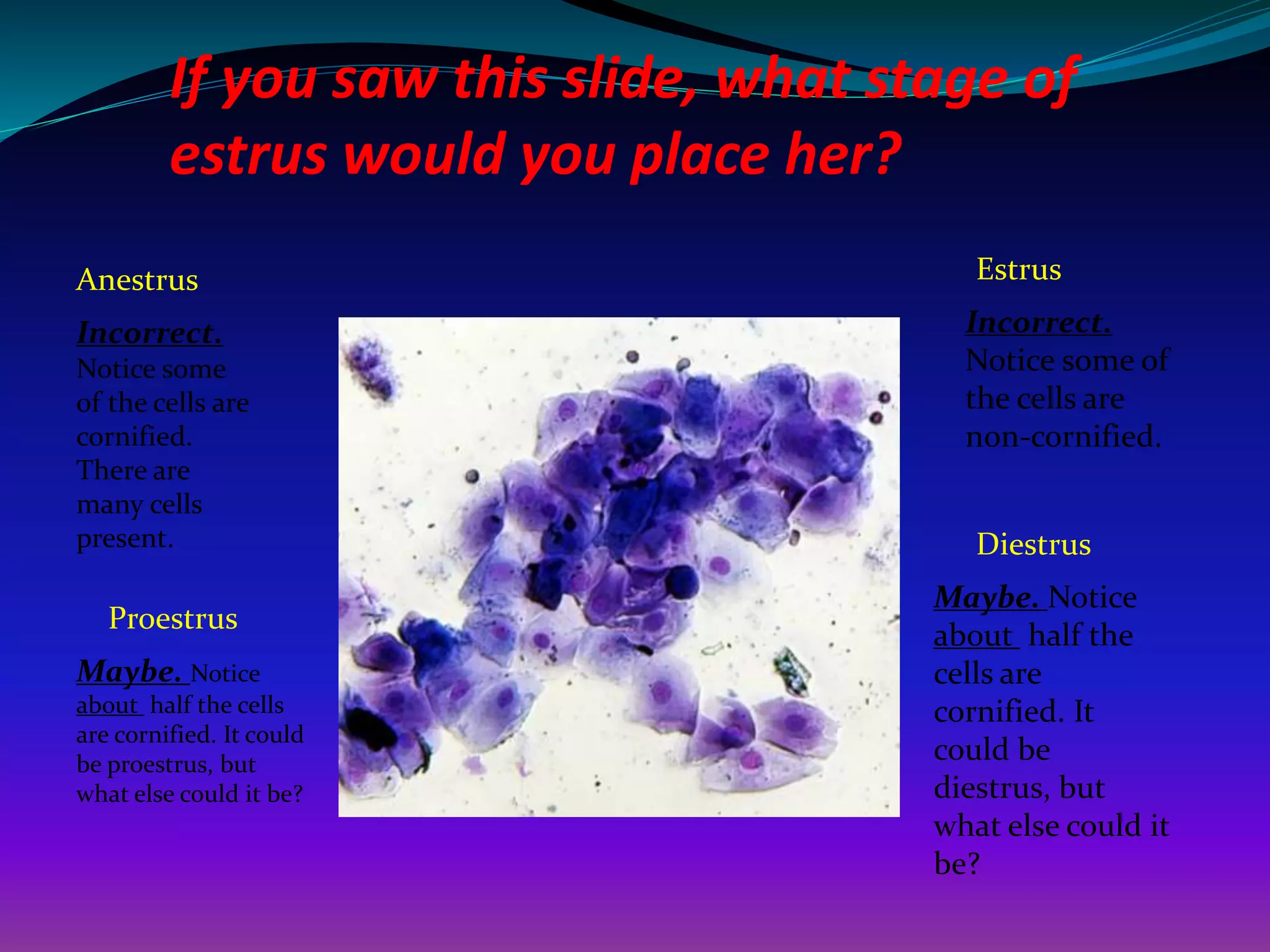 Canine vaginal_cytology_final.pptx