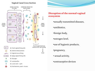 Vaginal Discharge syndrome and general management | PPTX | Sexual ...