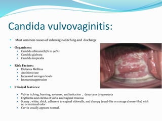 Candida Vaginitis Discharge