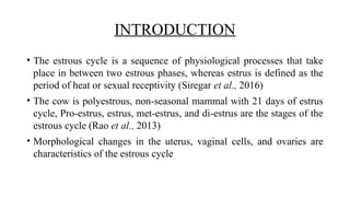 VAGINAL EPITHELIAL CELL TYPES in estrus cycle.pptx