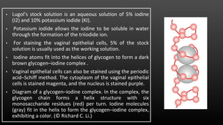 Vaginal Fluid Analysis - Forensic Biology | PPTX