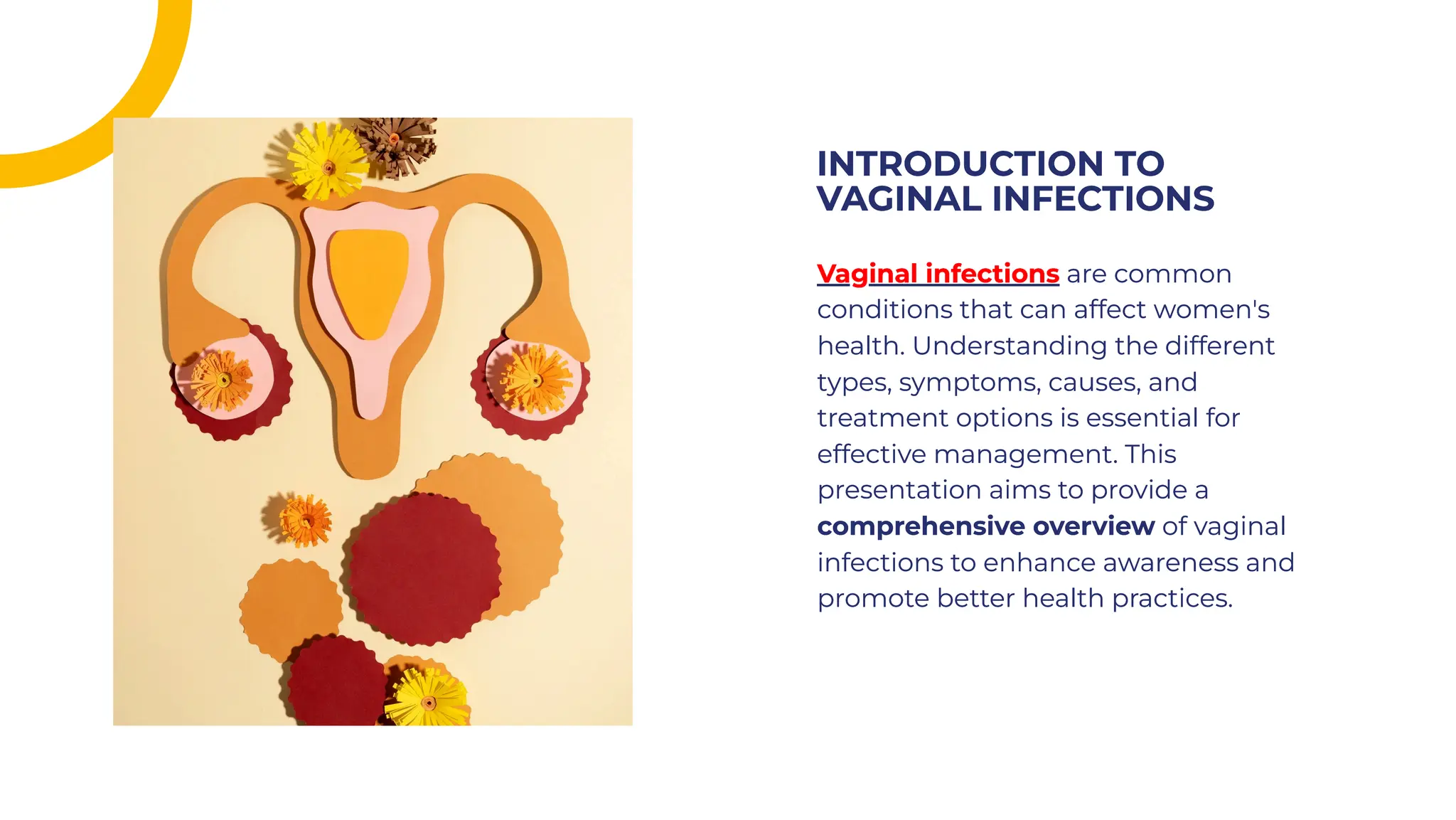 Vaginal Infections types symptoms causes and treatment.pdf