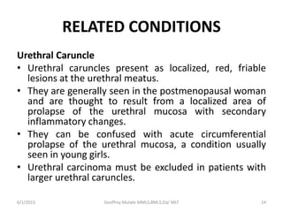 Vaginal lesions.pptx